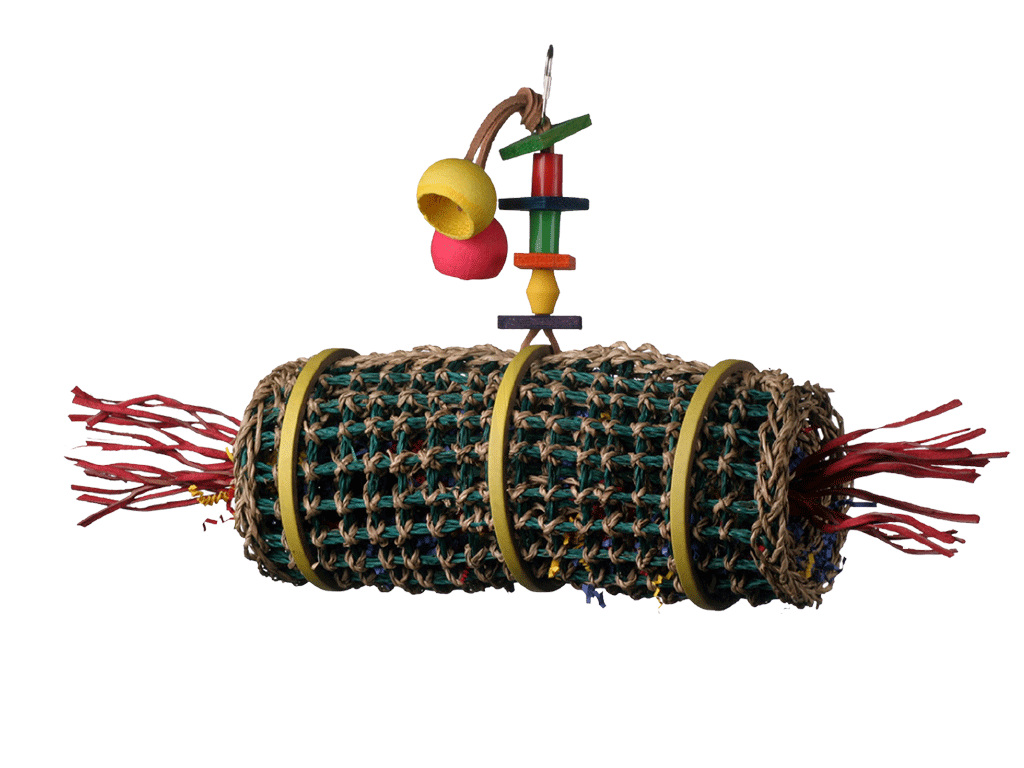 Firecracker Sr. – The Pet Store Next Door